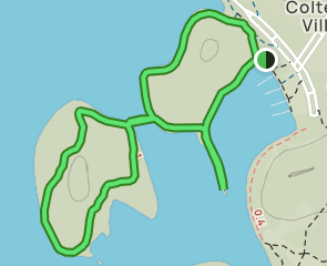 Colter Bay Lakeshore Trail, Wyoming - 2,091 Reviews, Map | AllTrails