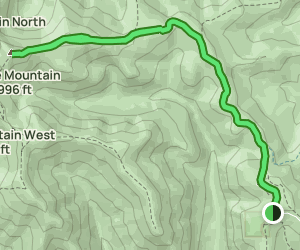 Moose Mountain Trail: 1322 Reviews, Map - Alberta, Canada | AllTrails