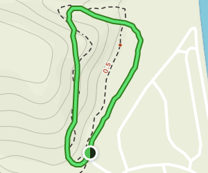 Walking Fern Trail: 134 Reviews, Map - Missouri | AllTrails