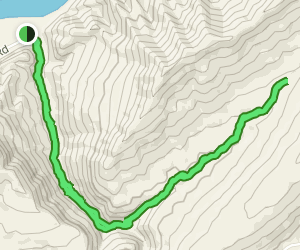 Laurel Run Trail: 557 Reviews, Map - Tennessee | AllTrails