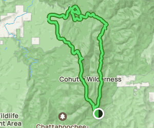 Cohutta Wilderness Loop Trail: 26 Reviews, Map - Georgia | AllTrails