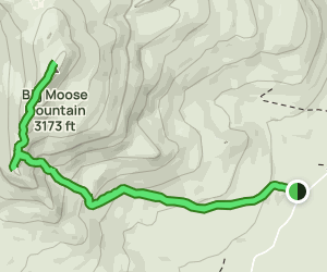 Big Moose Mountain Trail: 446 Reviews, Map - Maine | AllTrails