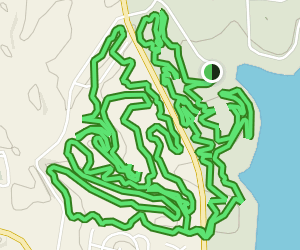 Hamilton Creek Mountain Biking Trail | Map, Guide - Tennessee | AllTrails