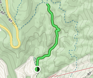 Diamond Peak Ski Resort Trail: 207 Reviews, Map - Nevada | AllTrails