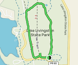 Lake Livingston Main Trail: 76 Reviews, Map - Texas | AllTrails