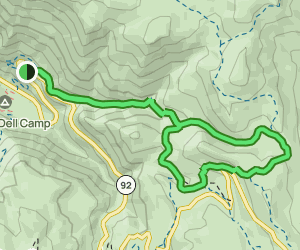 Pine Hollow Trail: 835 Reviews, Map - Utah | AllTrails