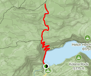 Beehive Meadow Trail | Mapa, Roteiro - California | AllTrails