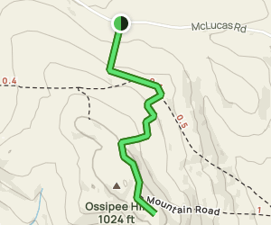 Ossipee Hill Trail: 170 Reviews, Map - Maine | AllTrails