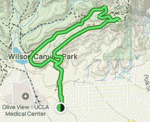 Wilson Canyon Trail, California - 440 Reviews, Map | AllTrails