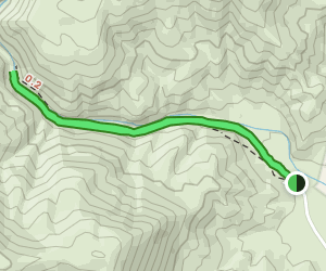 Hemlock Falls Trail: 1044 Reviews, Map - Georgia | AllTrails