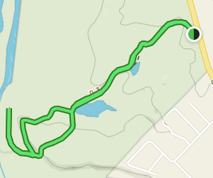 Tomales Bay Trail: 294 Reviews, Map - California | AllTrails