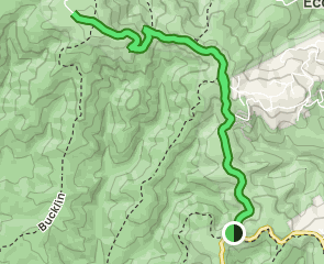 Inverness Ridge Trail, California - 126 Reviews, Map | AllTrails