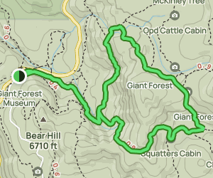 Alta, Huckleberry, and Washington Tree Loop [CLOSED]: 78 Reviews, Map ...