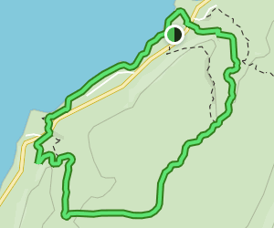 Quinault Loop Trail: 1314 Reviews, Map - Washington | AllTrails
