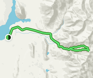 Mount Taylor Summit Track: 5 Reviews, Map - Canterbury, New Zealand ...