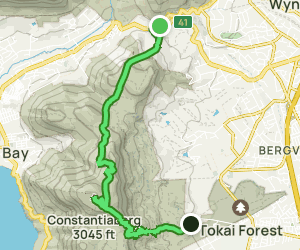 Constantia Nek - Tokai Forest via Constantiaberg, 314 Fotos - Westkap ...