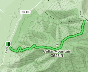 Cellar Mountain Trail, Virginia - 24 Reviews, Map | AllTrails