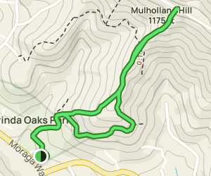 Orinda Oaks Park Trail, 48 Fotos - California | AllTrails