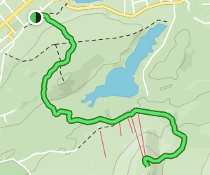 Maple Ridge: 89 Reviews, Map - New York | AllTrails