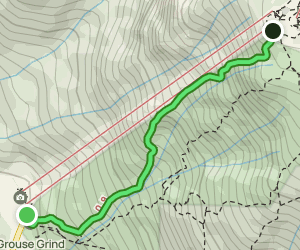 Grouse Grind: 5724 Reviews, Map - British Columbia, Canada | AllTrails