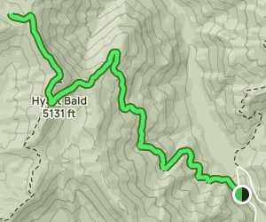 Beech Gap Trail to McGee Springs: 14 Reviews, Map - North Carolina ...