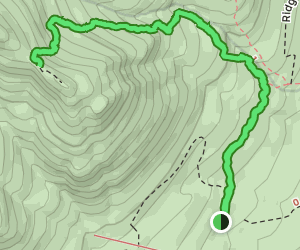 Bear Den Trail: 923 Reviews, Map - New York | AllTrails