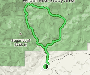 Beaver Creek Loop Trail: 330 Reviews, Map - Colorado | AllTrails
