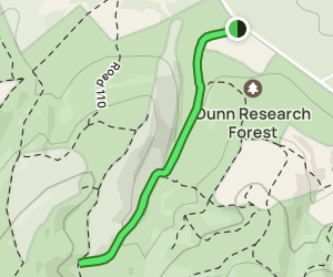 Dunn State Forest Scout Trail: 103 Reviews, Map - Oregon | AllTrails