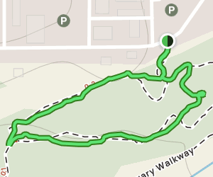 Kew Bush Loop Walk: 5 Reviews, Map - Southland, New Zealand | AllTrails