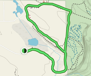 Moss Lake Trail, 197 Fotos - Washington | AllTrails