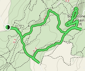 Shenipsit Forest Trail: 185 Reviews, Map - Connecticut | AllTrails
