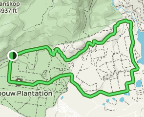 Grabouw MTO Forestry: 0 Reviews, Map - Western Cape, South Africa ...
