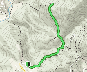 Shri Guna Devi Mandir: 5 Reviews, Map - Himachal Pradesh, India | AllTrails