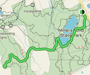 Bear Rock via Mattabesett Trail: 149 Reviews, Map - Connecticut | AllTrails