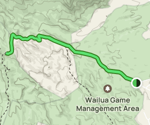 Moalepe Trail: 239 Reviews, Map - Kaua'i, Hawaii | AllTrails