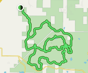 Vasa Trail - Michigan | AllTrails