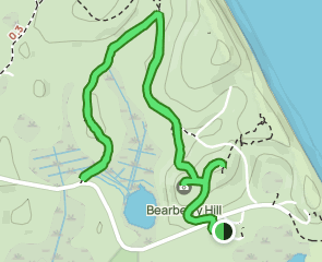 Pamet Cranberry Bog Trail, Massachusetts - 279 Reviews, Map | AllTrails