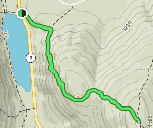 Beachcroft Path Trail: 432 Reviews, Map - Maine | AllTrails