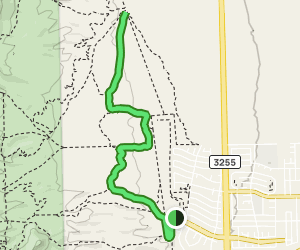 AllTrails | Lazy Cow Trail: 619 Reviews, Map - Texas