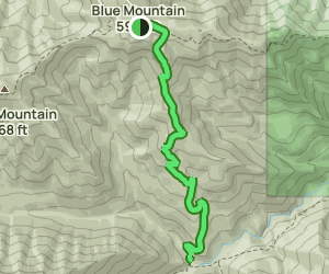 Three Forks Trail: 40 Reviews, Map - Washington | AllTrails