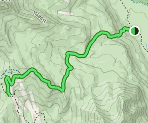 Washington Gulch Trail: 360 Reviews, Map - Colorado | AllTrails