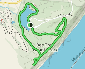 Bee Tree Lake Loop, Missouri - 525 Reviews, Map | AllTrails