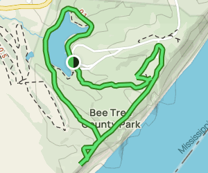 Bee Tree Lake Loop: 505 Reviews, Map - Missouri | AllTrails