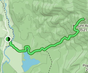 AllTrails | Mount Adams Trail: 518 Reviews, Map - New York