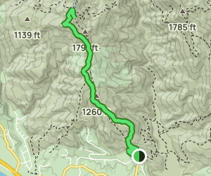 Zuma Ridge Trail: 1184 Reviews, Map - California | AllTrails