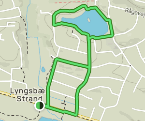 AllTrails | Handrup Strand Sø: 3 Reviews, Map - Central Denmark, Denmark