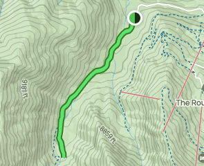 Silver Fork Trail, Utah - 112 Reviews, Map | AllTrails
