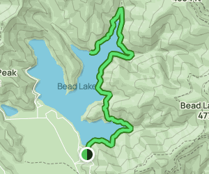 Bead Lake Trail: 511 Reviews, Map - Washington | AllTrails