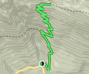 Klahhane Ridge via Switchback Trail: 352 Reviews, Map - Washington ...