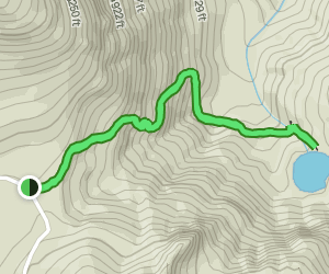 PJ Lake Trail: 128 Reviews, Map - Washington | AllTrails